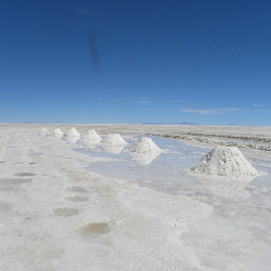 Suzanne MIRANDA | AllCaps